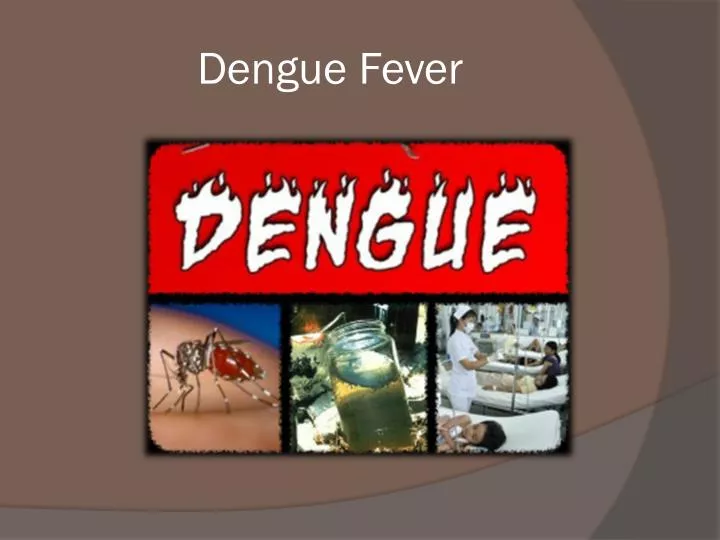 PPT - Dengue Fever PowerPoint Presentation, free download - ID:2857680