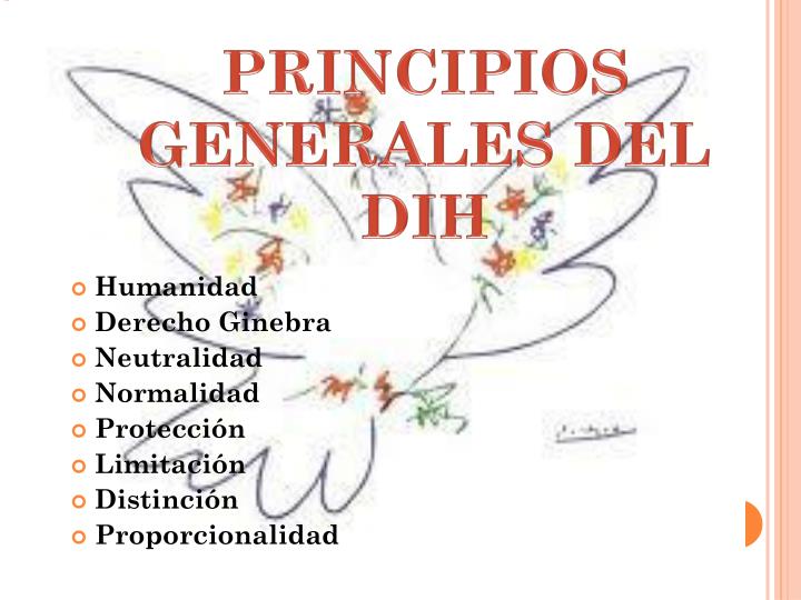 PPT - DERECHO INTERNACIONAL HUMANITARIO PowerPoint Presentation - ID ...