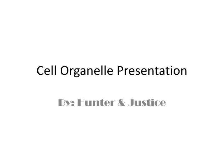PPT - Cell Organelle Presentation PowerPoint Presentation, free ...