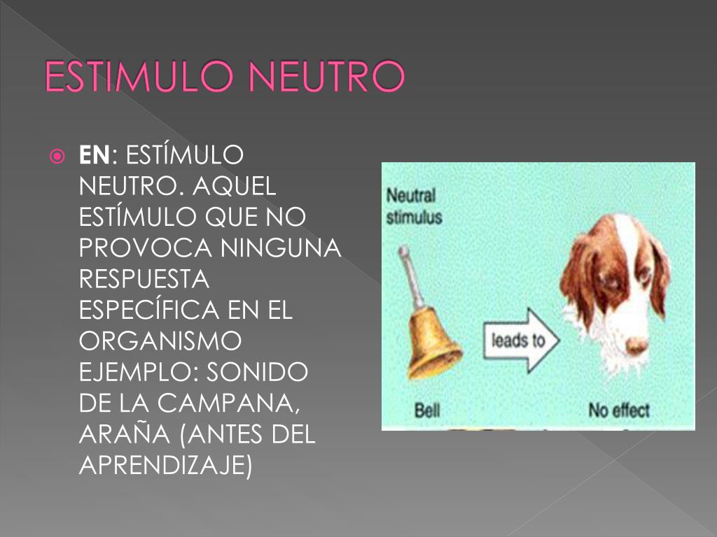 PPT - ARCO REFLEJO. REFLEJO CONDICIONADO. REFLEJO MIOTATICO PowerPoint ...