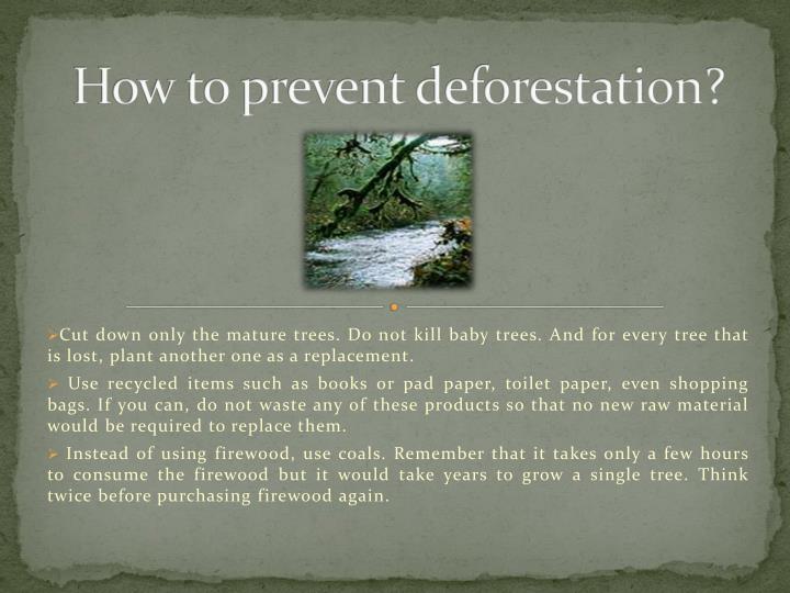 PPT - Deforestation PowerPoint Presentation - ID:2860630