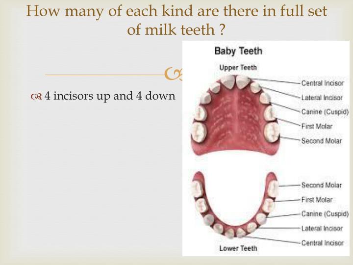 PPT - Milk teeth & Permanent teeth PowerPoint Presentation - ID:2861686 PPT - Milk teeth & Permanent teeth PowerPoint Presentation - ID:2861686