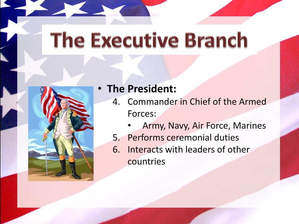 PPT - The 3 Branches of Government In the United States of America ...