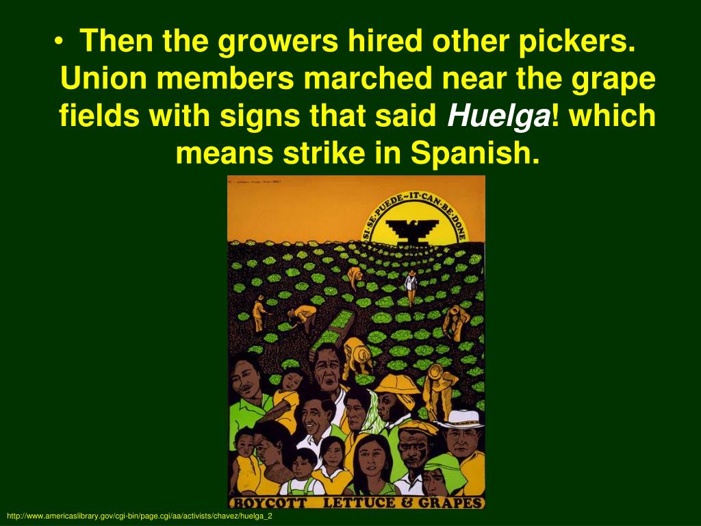 PPT - Cesar Chavez La Causa & La Huelga PowerPoint Presentation - ID ...
