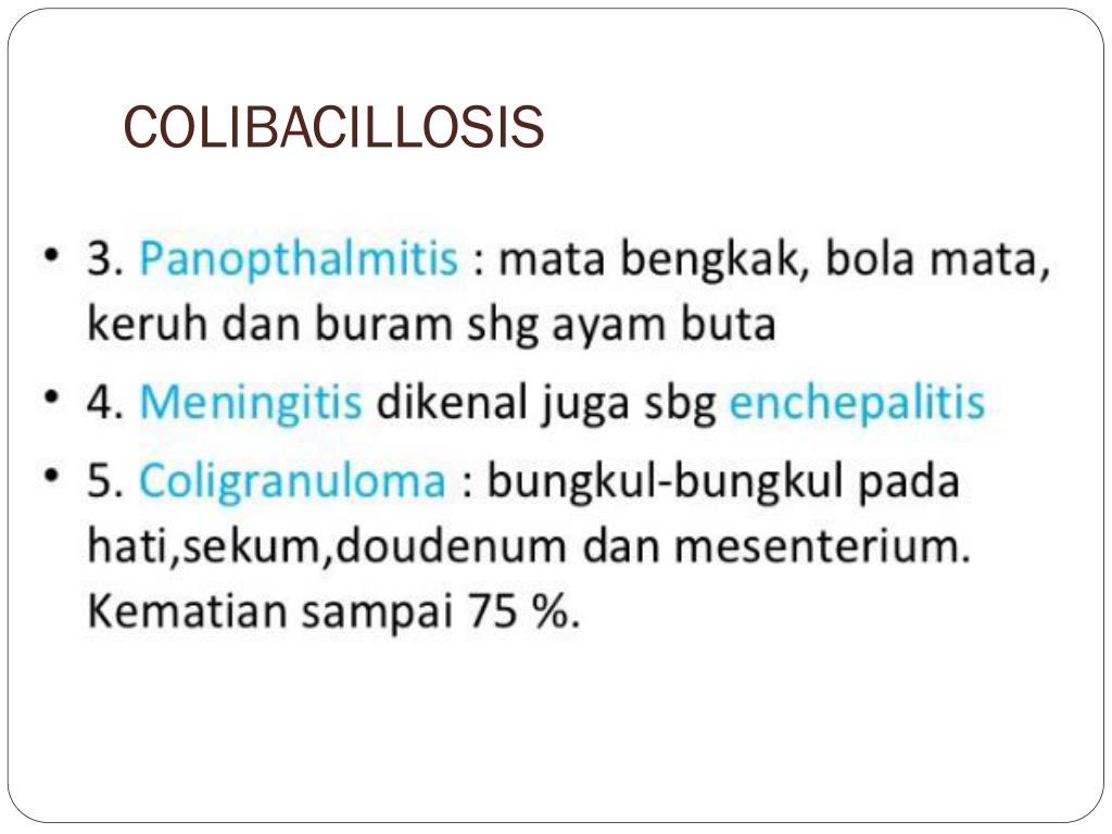 PPT - PATOLOGI ANATOMI - PENYAKIT BAKTERIAL- PowerPoint Presentation ...