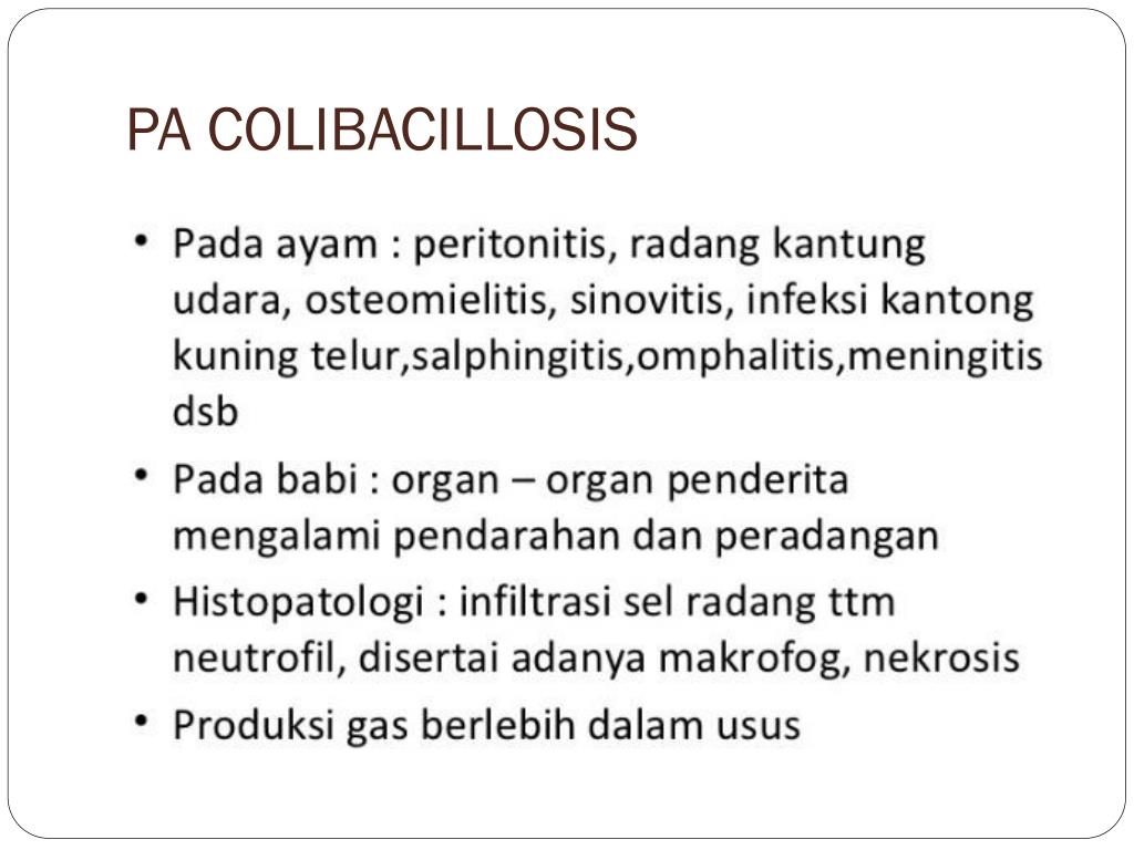 PPT - PATOLOGI ANATOMI - PENYAKIT BAKTERIAL- PowerPoint Presentation ...
