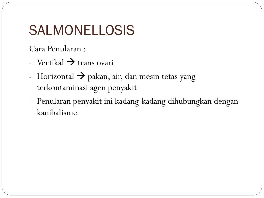 PPT - PATOLOGI ANATOMI - PENYAKIT BAKTERIAL- PowerPoint Presentation ...