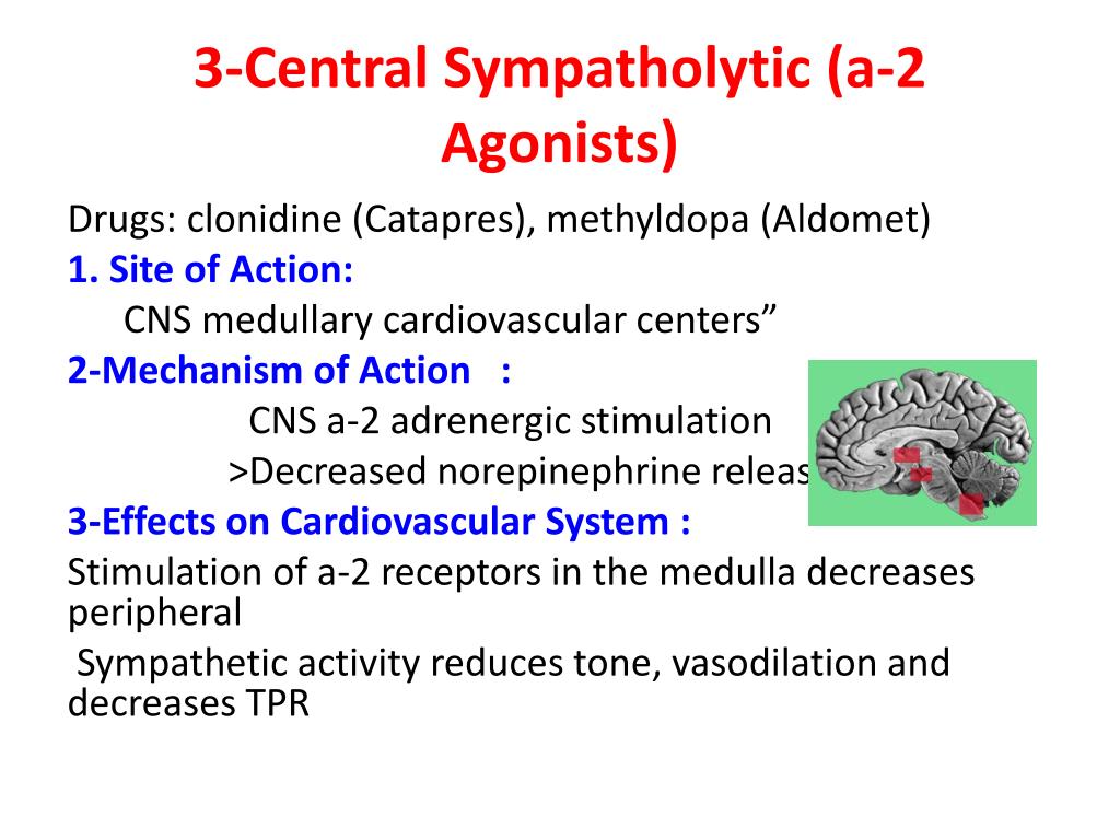 PPT - Hypertension Dr.Hassan H Alwafi MBBS, Demonstrator Department of ...