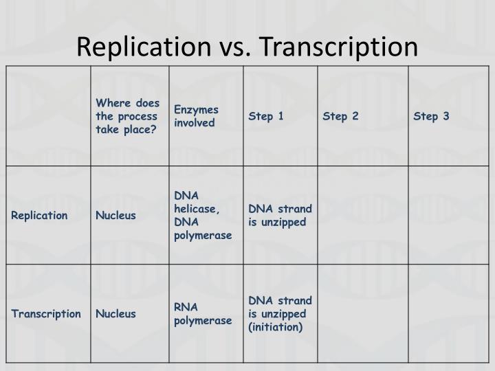 PPT - Transcription PowerPoint Presentation - ID:2864446