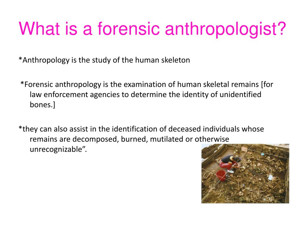 PPT - Forensic Anthropology PowerPoint Presentation, free download - ID ... PPT - Forensic Anthropology PowerPoint Presentation, free download - ID ...
