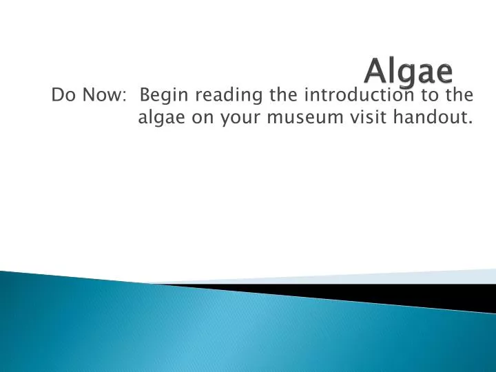 PPT - Algae PowerPoint Presentation, free download - ID:2865131