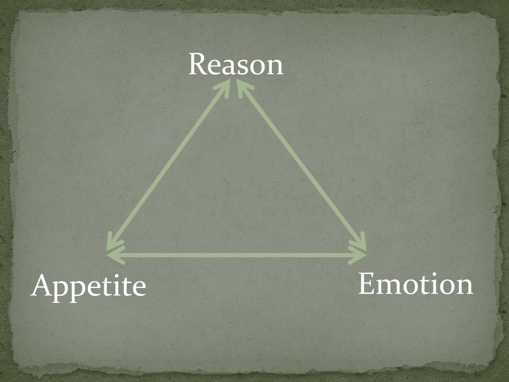 PPT - Life After Death: The Soul (Plato) PowerPoint Presentation, free ...