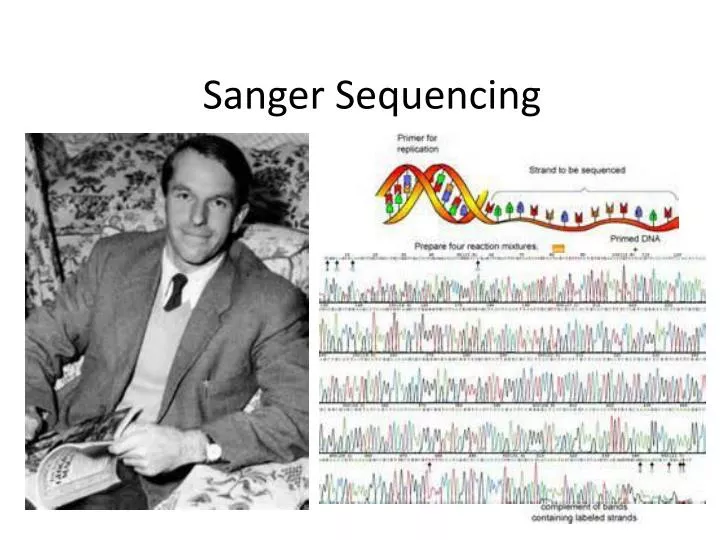 PPT - Sanger Sequencing PowerPoint Presentation, free download - ID:2866717