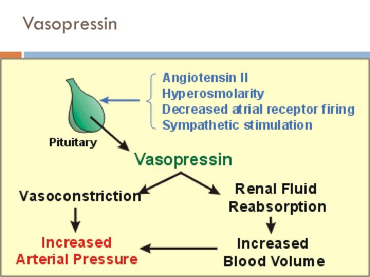 PPT - Blood pressure PowerPoint Presentation - ID:2867227