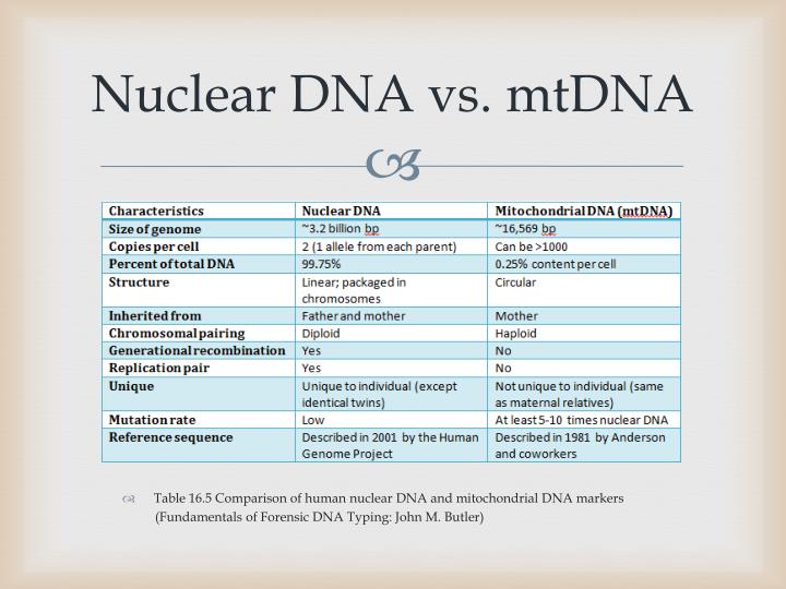 PPT - Analysis of Ancient Human DNA and Primer Contamination PowerPoint ...