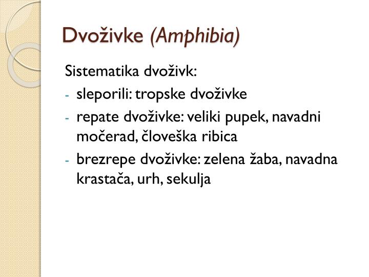 PPT - Dvoživke (Amphibia) PowerPoint Presentation - ID:2869363