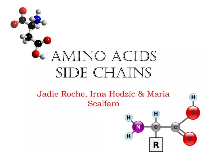 PPT - Amino Acids Side Chains PowerPoint Presentation, free download ...