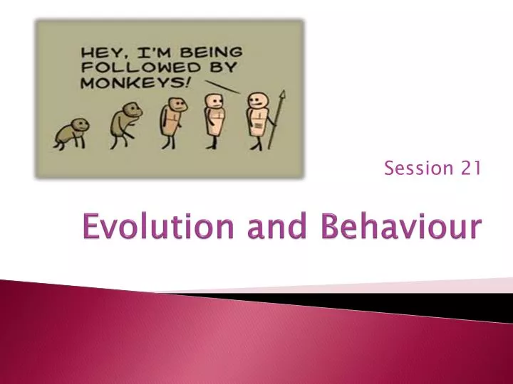 PPT - Evolution and Behaviour PowerPoint Presentation - ID:2870172
