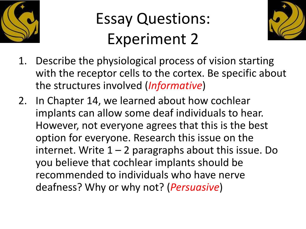 PPT - Shannon N. Whitten, Psychology Steve Fiore , Philosophy Valerie ...