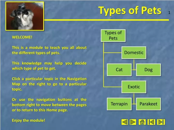 PPT - WELCOME! This is a module to teach you all about the different ...