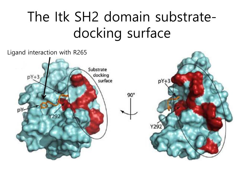PPT - Laboratory of Structural Biology 2010. 10. 18 Kim Byeong -won ...
