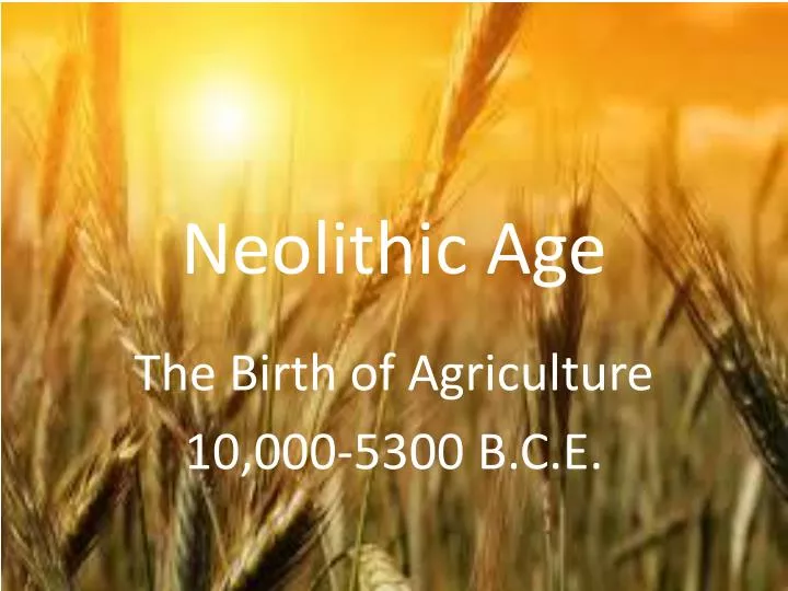 PPT - Neolithic Age PowerPoint Presentation, free download - ID:2873853