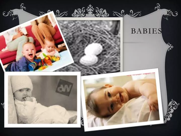 PPT - babies PowerPoint Presentation, free download - ID:2874038