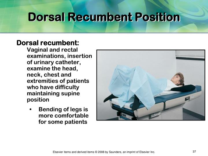 PPT - CHAPTER 5 PowerPoint Presentation - ID:2874793