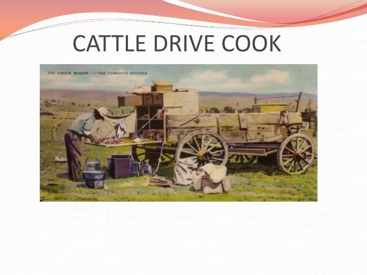 PPT - CATTLE DRIVE COOK PowerPoint Presentation, free download - ID:2875722