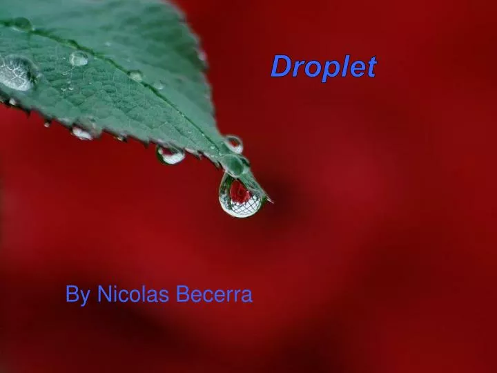 PPT - Droplet PowerPoint Presentation, free download - ID:2875735