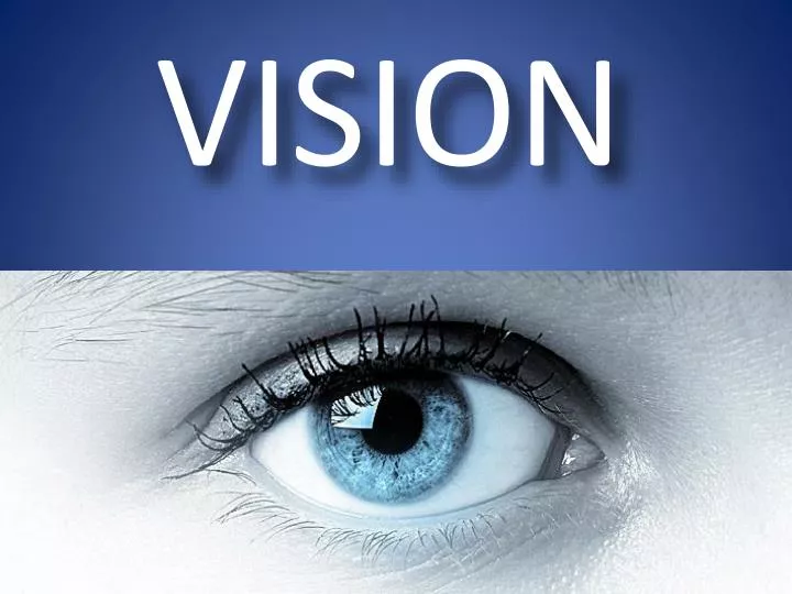 PPT - VISION PowerPoint Presentation, free download - ID:2876203