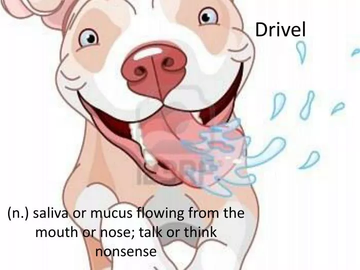 PPT - Drivel PowerPoint Presentation, free download - ID:2876225