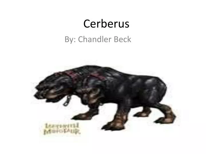 PPT - Cerberus PowerPoint Presentation, free download - ID:2876443
