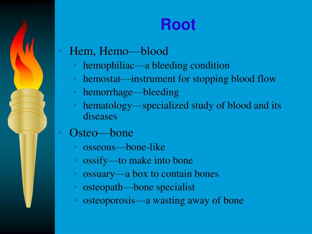 PPT - Greek & Latin Roots and Affixes PowerPoint Presentation, free ...