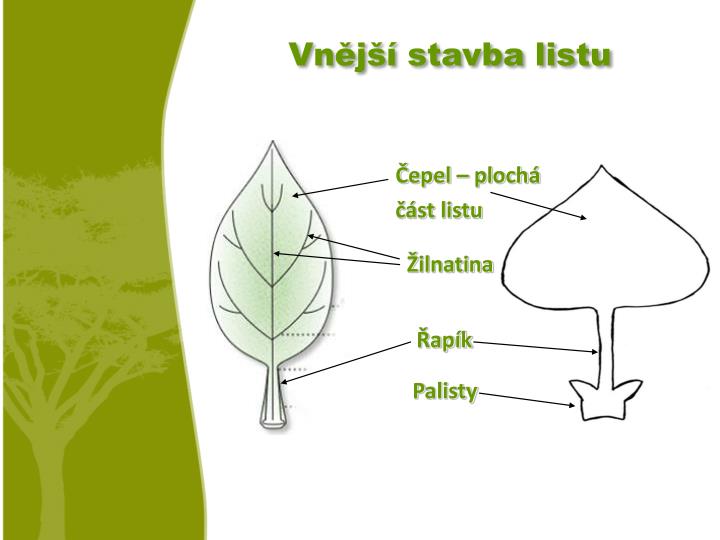 PPT - List PowerPoint Presentation - ID:2877461