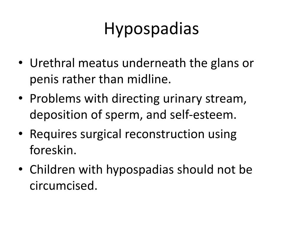 Ppt Hypospadias Hydrocele Cryptorchidism Powerpoint Presentation