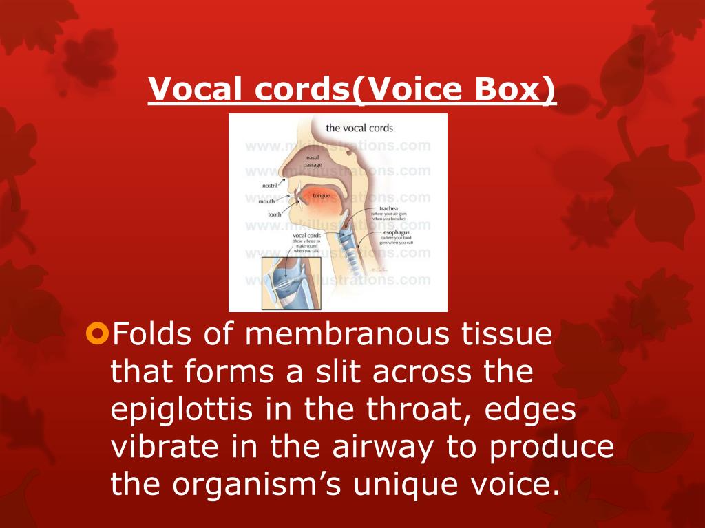 PPT - Created by Tom Brown, Maddalyn Erato, Mike McGowan, Ariel ...