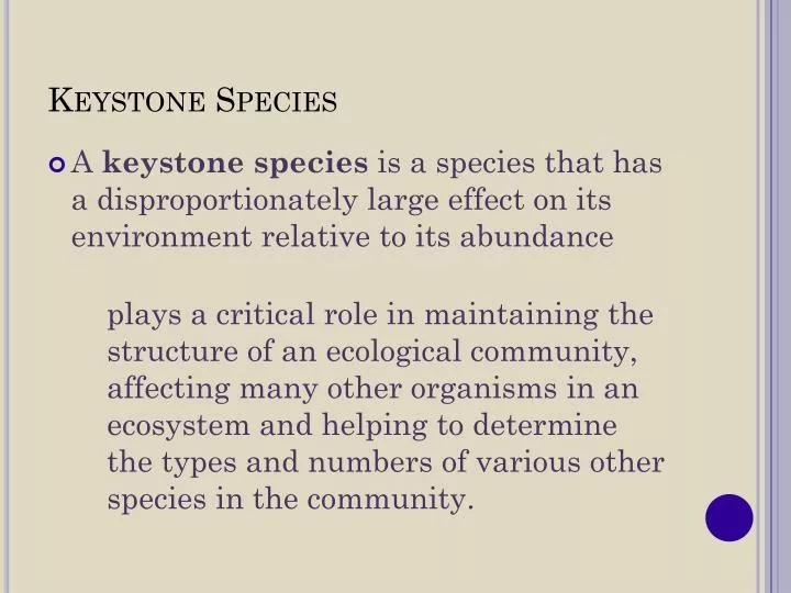 PPT - Keystone Species PowerPoint Presentation, free download - ID:2881455