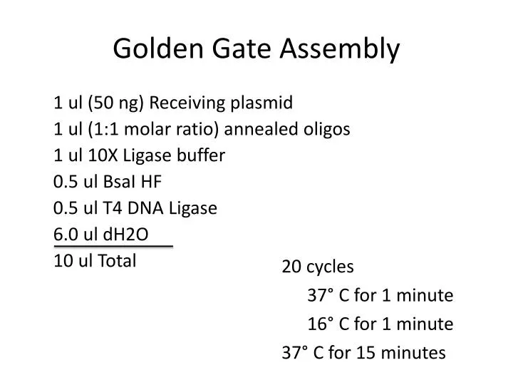 PPT - Golden Gate Assembly PowerPoint Presentation, free download - ID ...