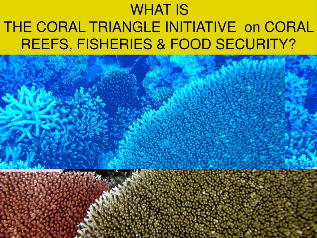 PPT - WHAT IS THE CORAL TRIANGLE INITIATIVE on CORAL REEFS, FISHERIES ...