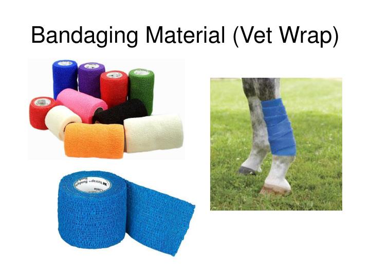 PPT - Ambu-bag PowerPoint Presentation - ID:2883582