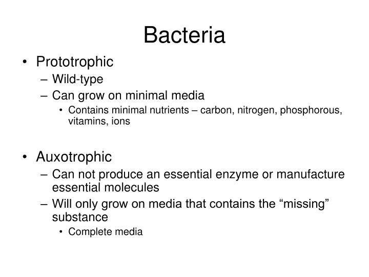 PPT - Chapter 8 – Bacterial and Viral Genetic Systems PowerPoint ...