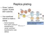 PPT - Chapter 8 – Bacterial and Viral Genetic Systems PowerPoint ...