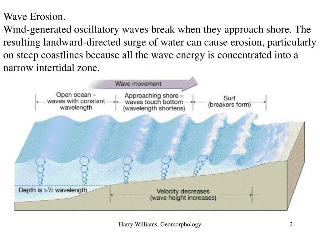 PPT - If sea-level falls, the wave-cut platform becomes a marine ...