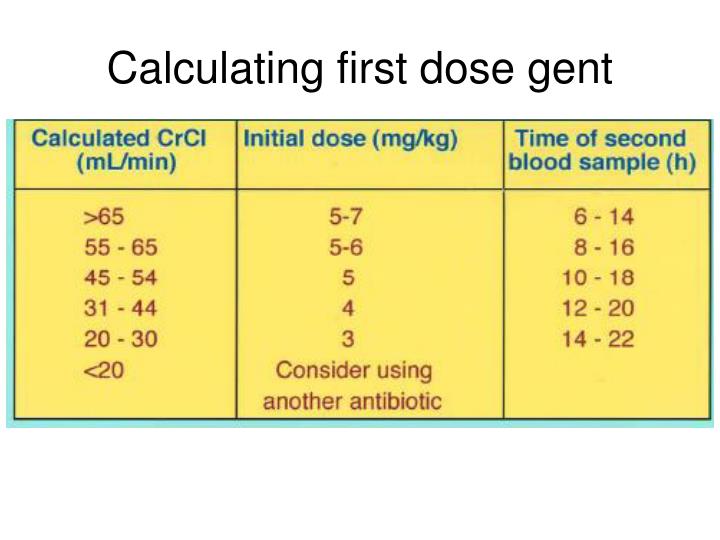 PPT - Antibiotics PowerPoint Presentation - ID:2884195