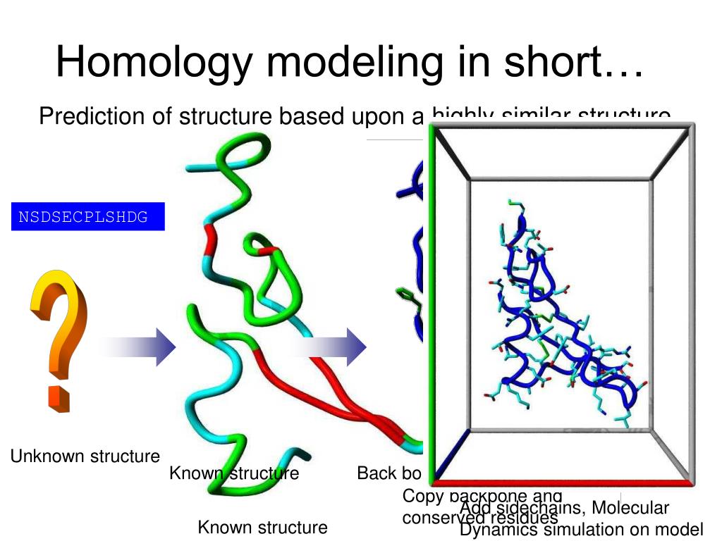 PPT - Homology Modeling PowerPoint Presentation, free download - ID:2884946 PPT - Homology Modeling PowerPoint Presentation, free download - ID:2884946