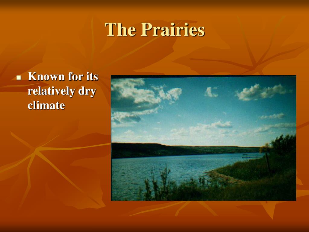 PPT - LANDFORM REGIONS OF CANADA PowerPoint Presentation, free download ...