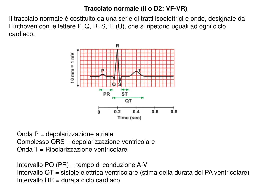 PPT - CONDUZIONE DEL PA (DROMOTROPISMO) e ATTIVAZIONE ELETTRICA DEL ...