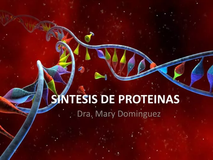 PPT - SINTESIS DE PROTEINAS PowerPoint Presentation, free download - ID ...