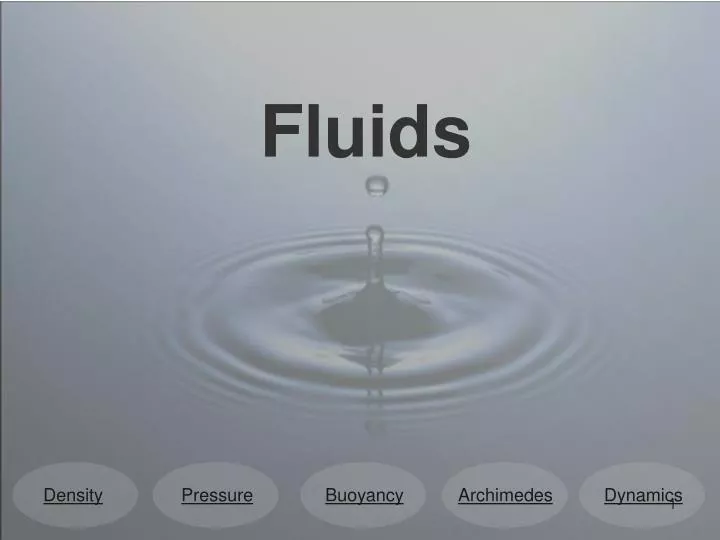 PPT - Fluids PowerPoint Presentation, free download - ID:2889670